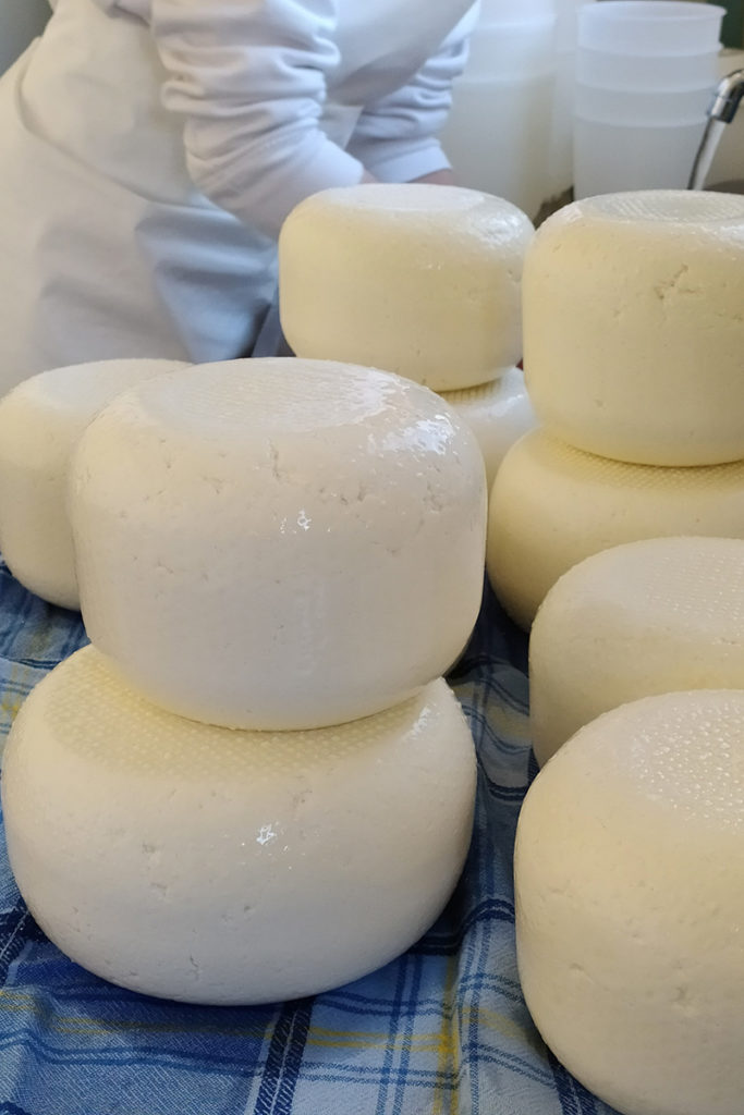 La première mini-laiterie modulaire dans les Marche - Self Globe ...