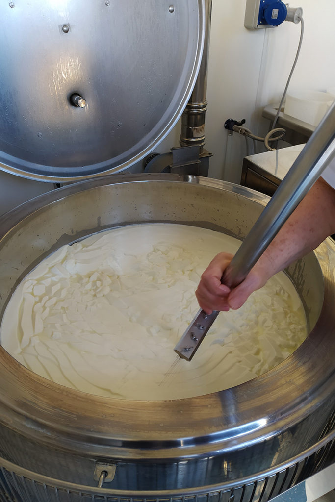 The first modular plant for milk processing dairy in the Marche region ...